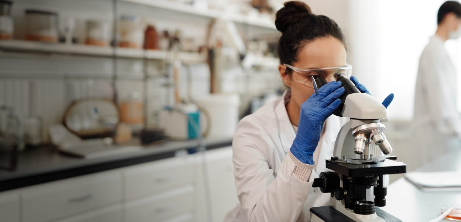 Electrical Equipment for Mushroom Cultivation | Spore Buddies